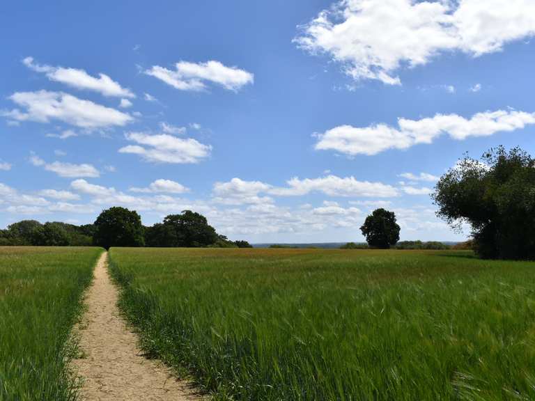 Top 10 Hikes and Walks around Lingfield | Komoot