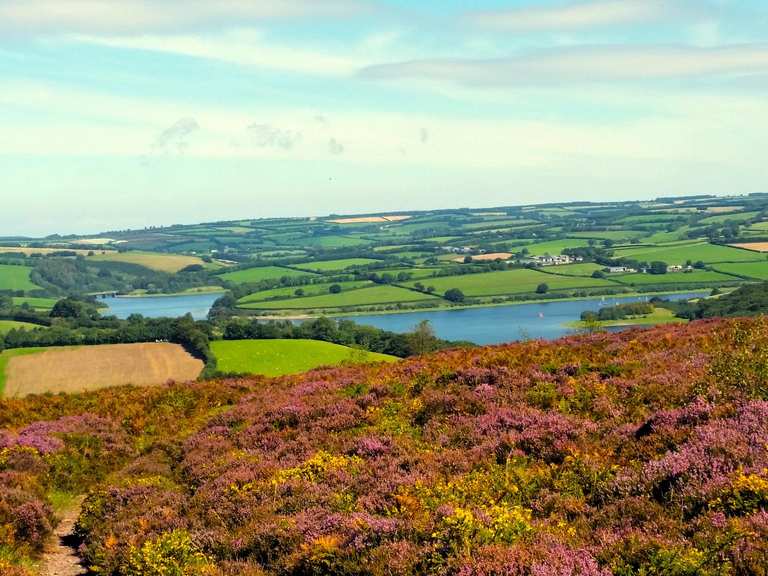 Top 8 Hikes and Walks around Brushford | Komoot