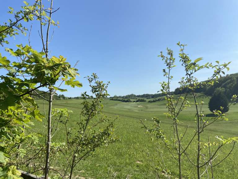 Top 10 Hikes and Walks around Whyteleafe | Komoot