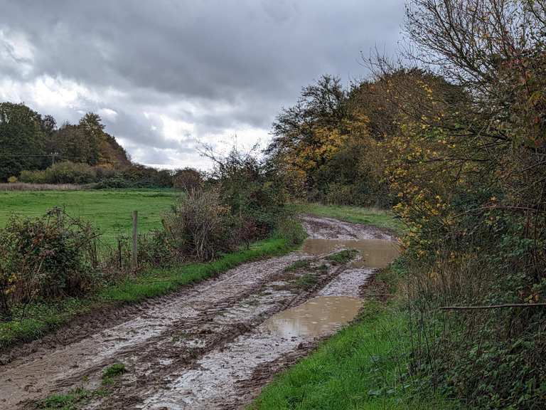 Top 10 Hikes and Walks around Mountnessing | Komoot