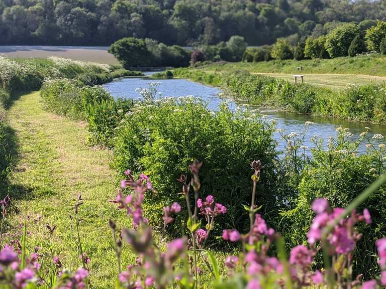 Top 10 Hikes and Walks around Petersfield | Komoot