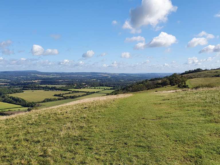 Top 10 Most Beautiful MTB Trails around Petersfield | Komoot