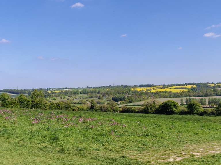 Top 19 Hikes and Walks around Greatham | Komoot