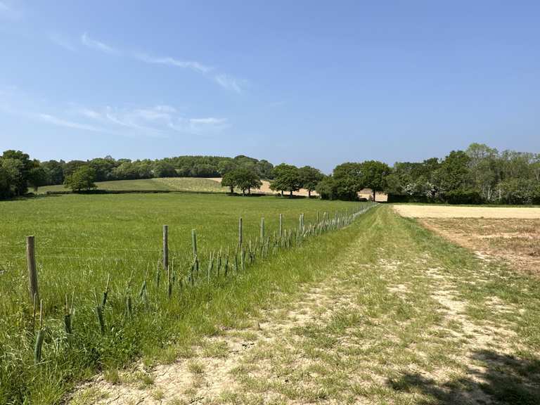 Top 10 Hikes and Walks around Haslemere | Komoot