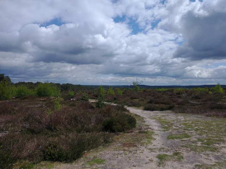 Top 10 Hikes and Walks around Dockenfield | Komoot