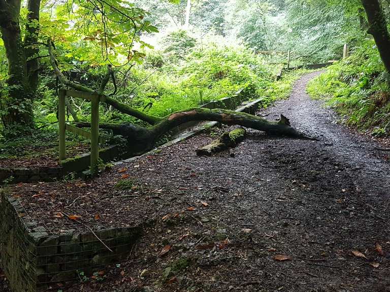 Die 5 schönsten Wanderungen rund um Southleigh | Komoot