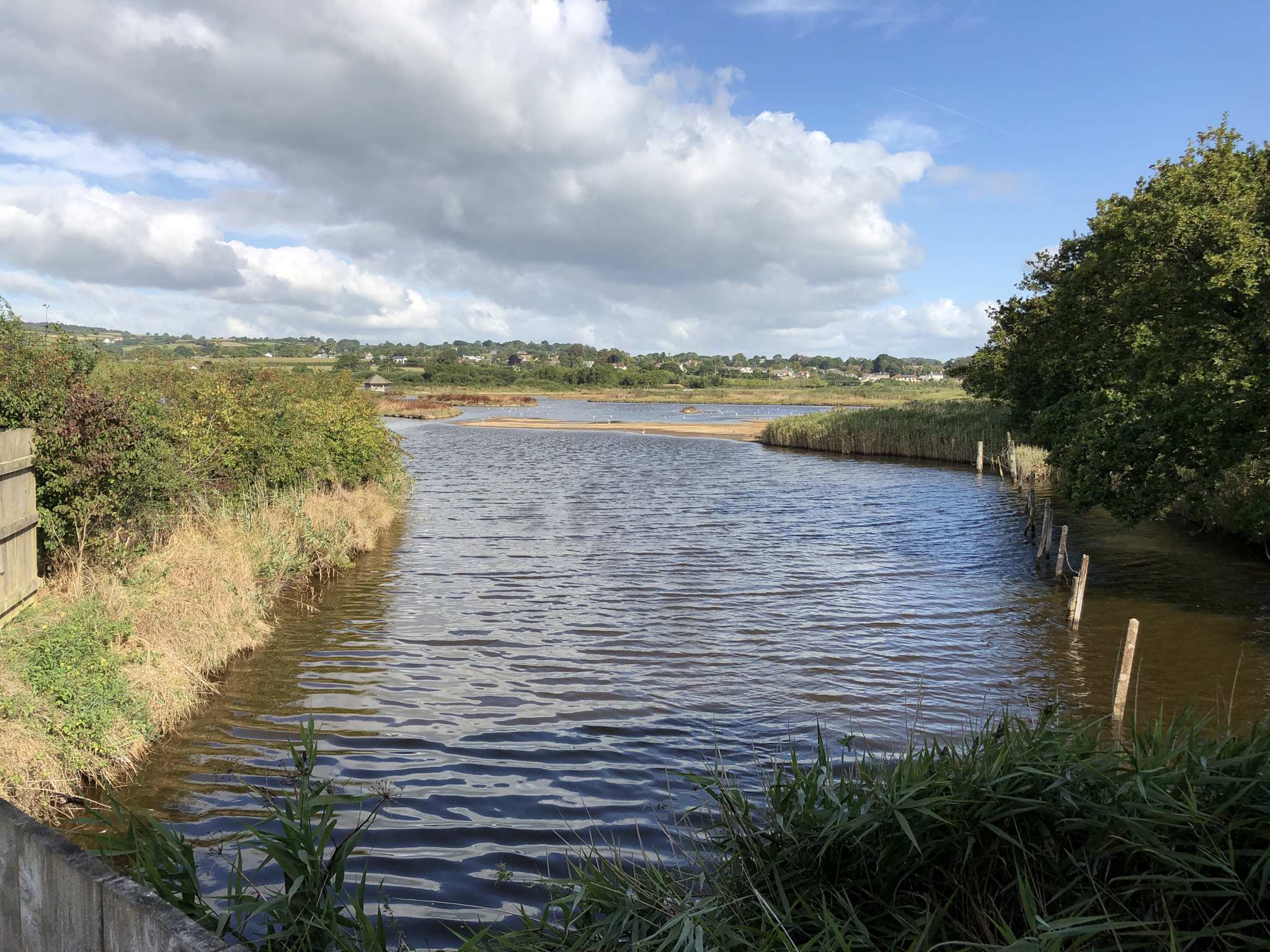 Top 17 Hikes and Walks around Axmouth | Komoot