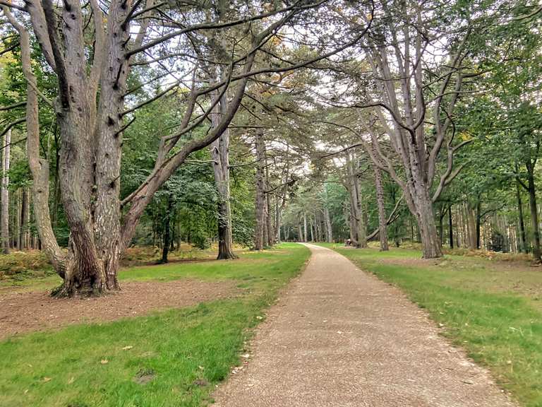 Top 10 Bike Rides and Cycling Routes around Sandringham | Komoot