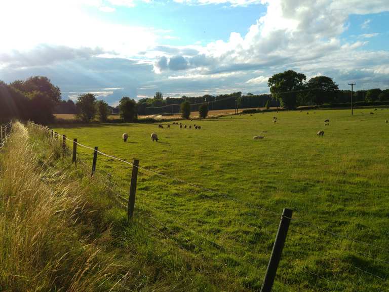 Top 10 Hikes and Walks around Cawston | Komoot