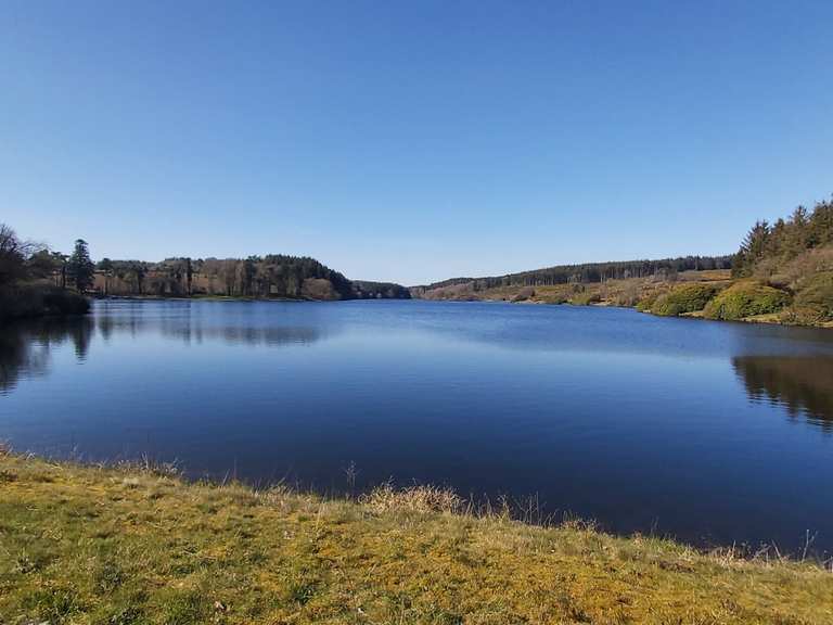 Top 10 Hikes and Walks around Bridford | Komoot