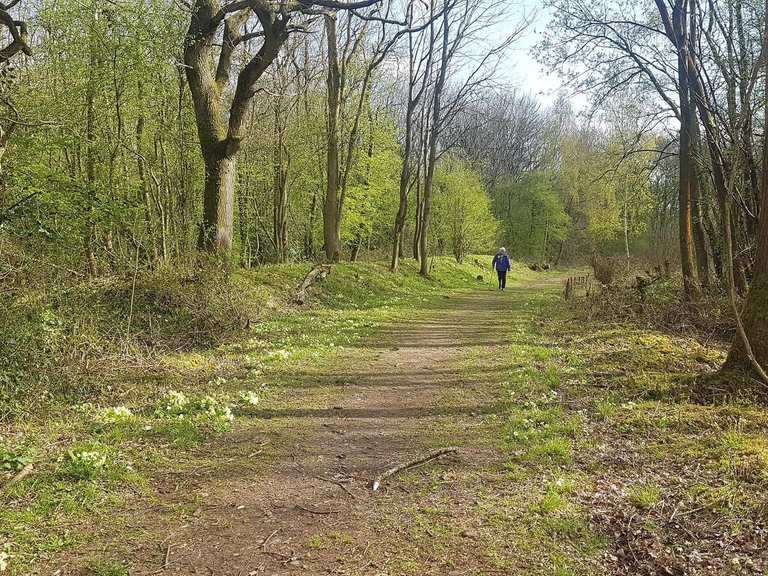 Top 8 Hikes and Walks around Snitterfield | Komoot