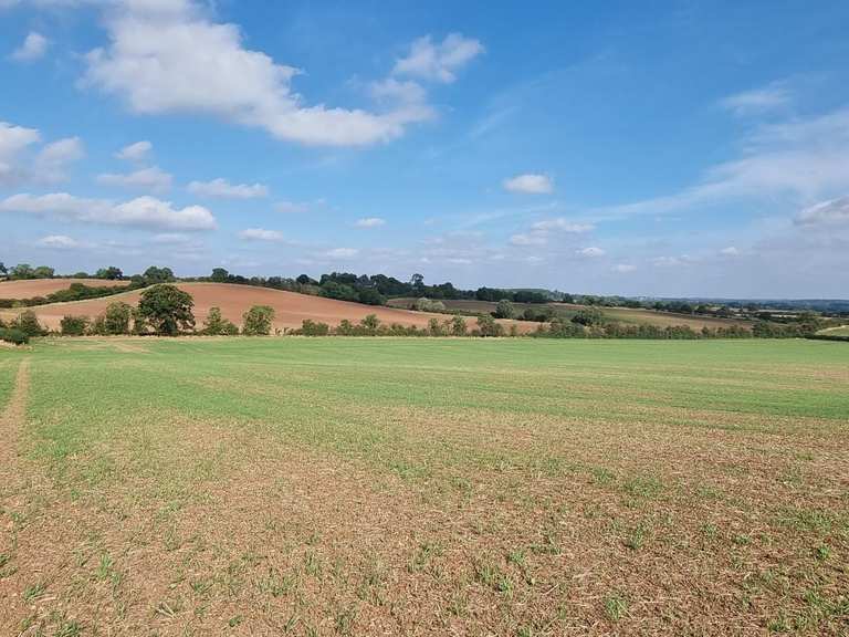 Attractions and Places To See around Snitterfield - Top 20 | Komoot