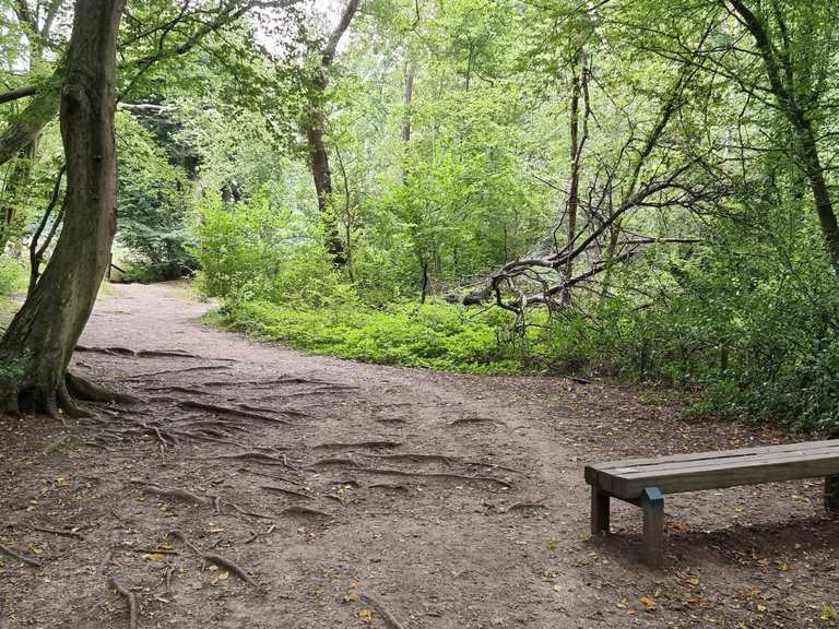 Top 6 Hikes and Walks around Northaw And Cuffley | Komoot