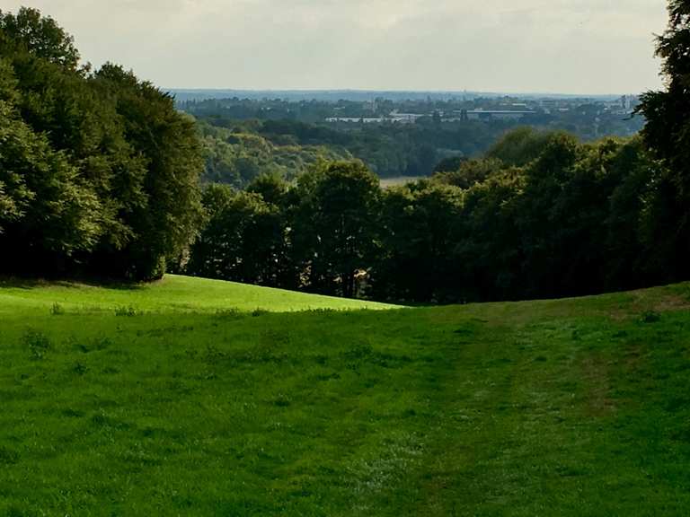 Top 5 Hikes and Walks around Woolmer Green | Komoot