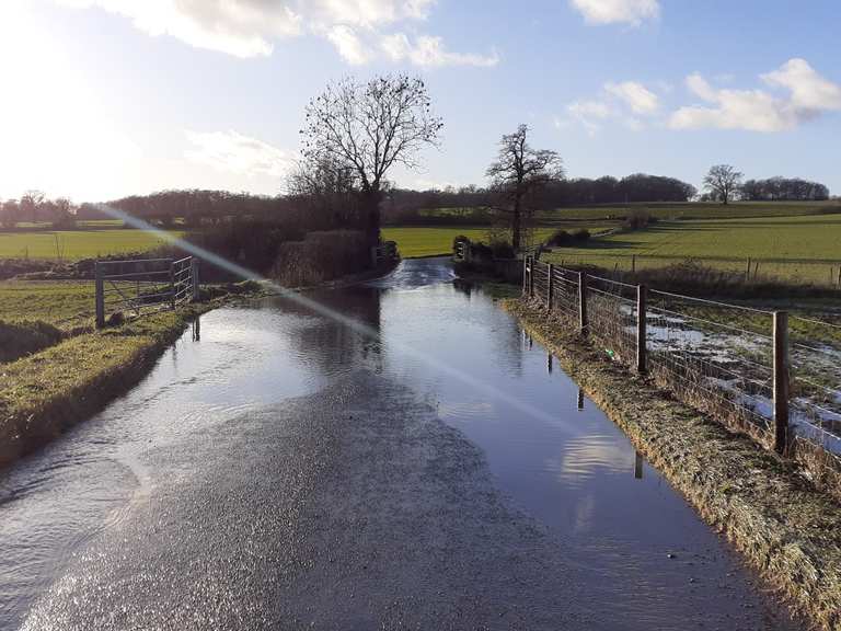 Top 10 Hikes and Walks around Farnham | Komoot