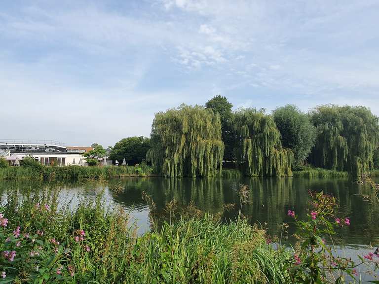 Top 10 Hikes and Walks around Wareside | Komoot