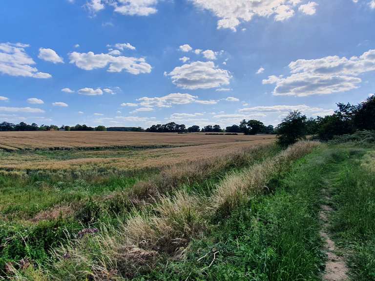 Top 10 Hikes and Walks around Shenley | Komoot