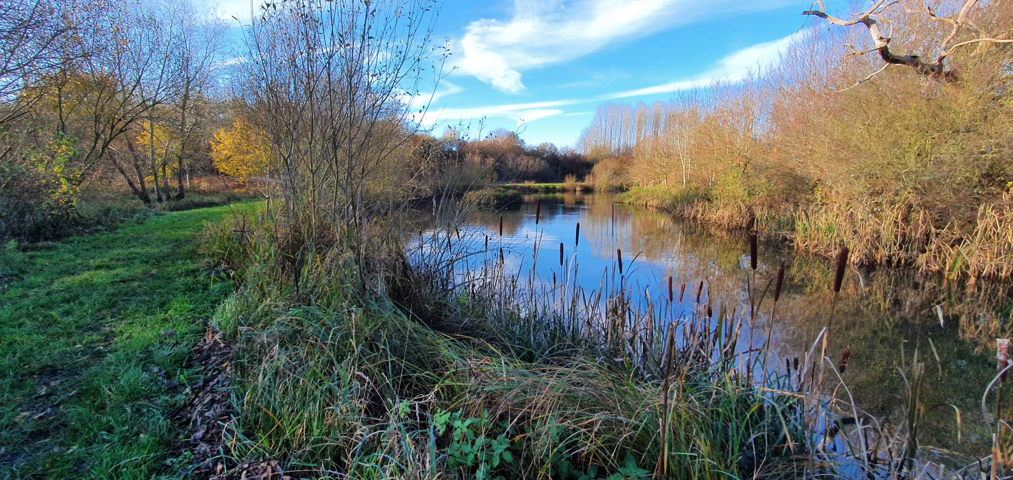 Die 5 schönsten Wanderungen rund um Colney Heath | Komoot