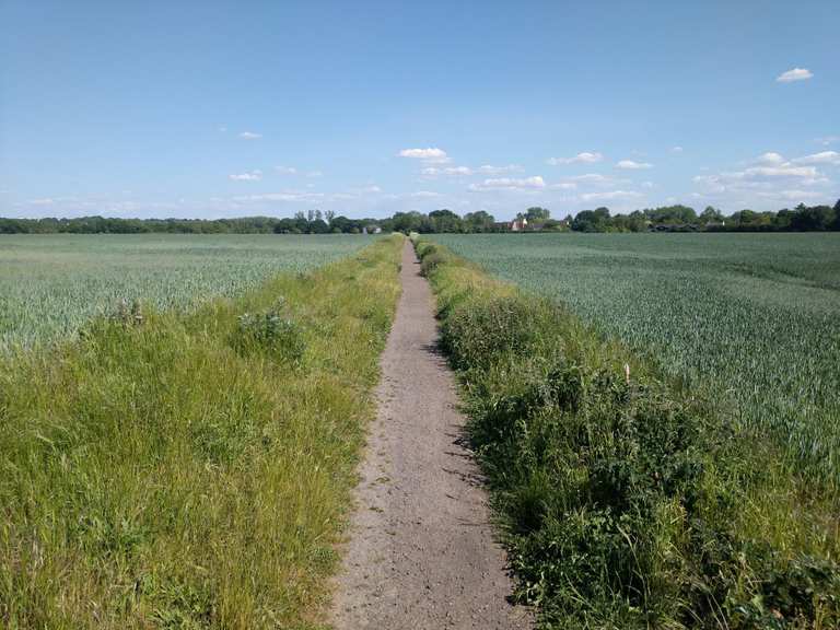 Attractions and Places To See around Hatfield - Top 20 | Komoot