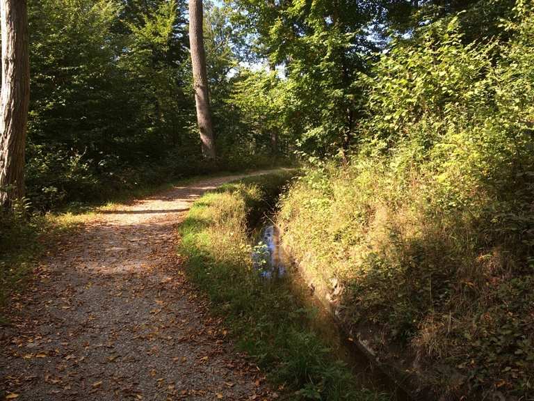 Top 10 Most Beautiful Mtb Trails In Stuttgart Komoot