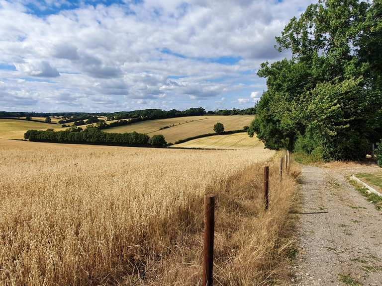 Die 10 schönsten Laufstrecken rund um Chartridge 🏃 | Komoot