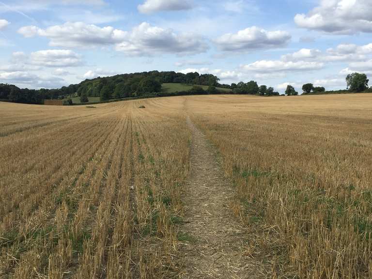 Top 10 Hikes and Walks around Hazlemere | Komoot