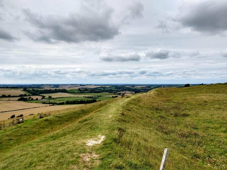 Top 10 Running Trails around Swanmore | Komoot