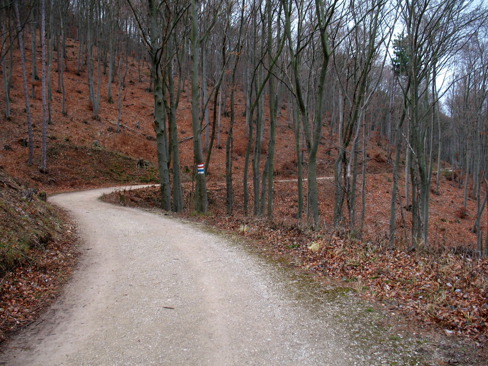 Top 10 Running Trails in Vienna | Komoot