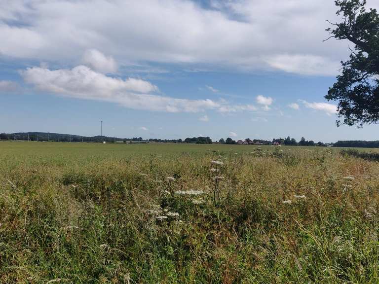 Die 10 schönsten Wanderungen rund um St Nicholas, Hurst | Komoot