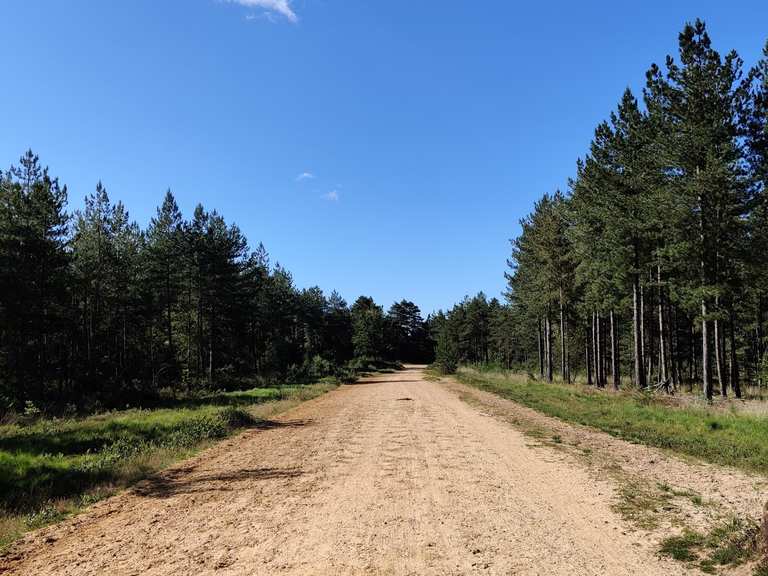 Top 10 Hikes and Walks around Crowthorne | Komoot