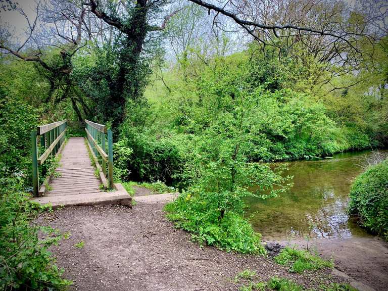 Top 10 Hikes and Walks around Wokingham | Komoot
