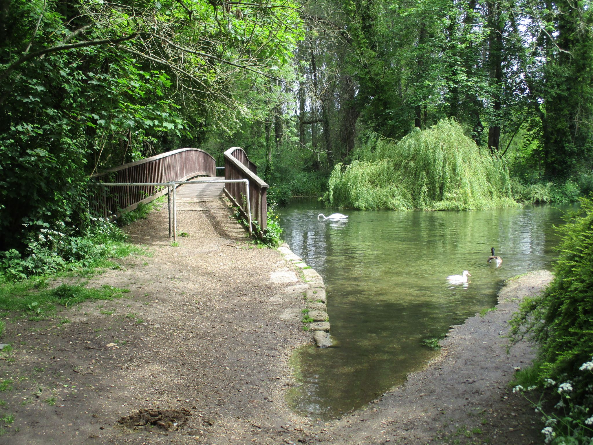 Top 10 Hikes and Walks around Andover | Komoot