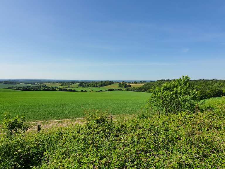 Top 10 Hikes and Walks around Crawley | Komoot