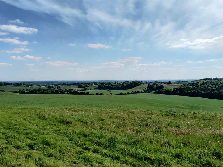 Top 6 Hikes and Walks around Ampfield | Komoot