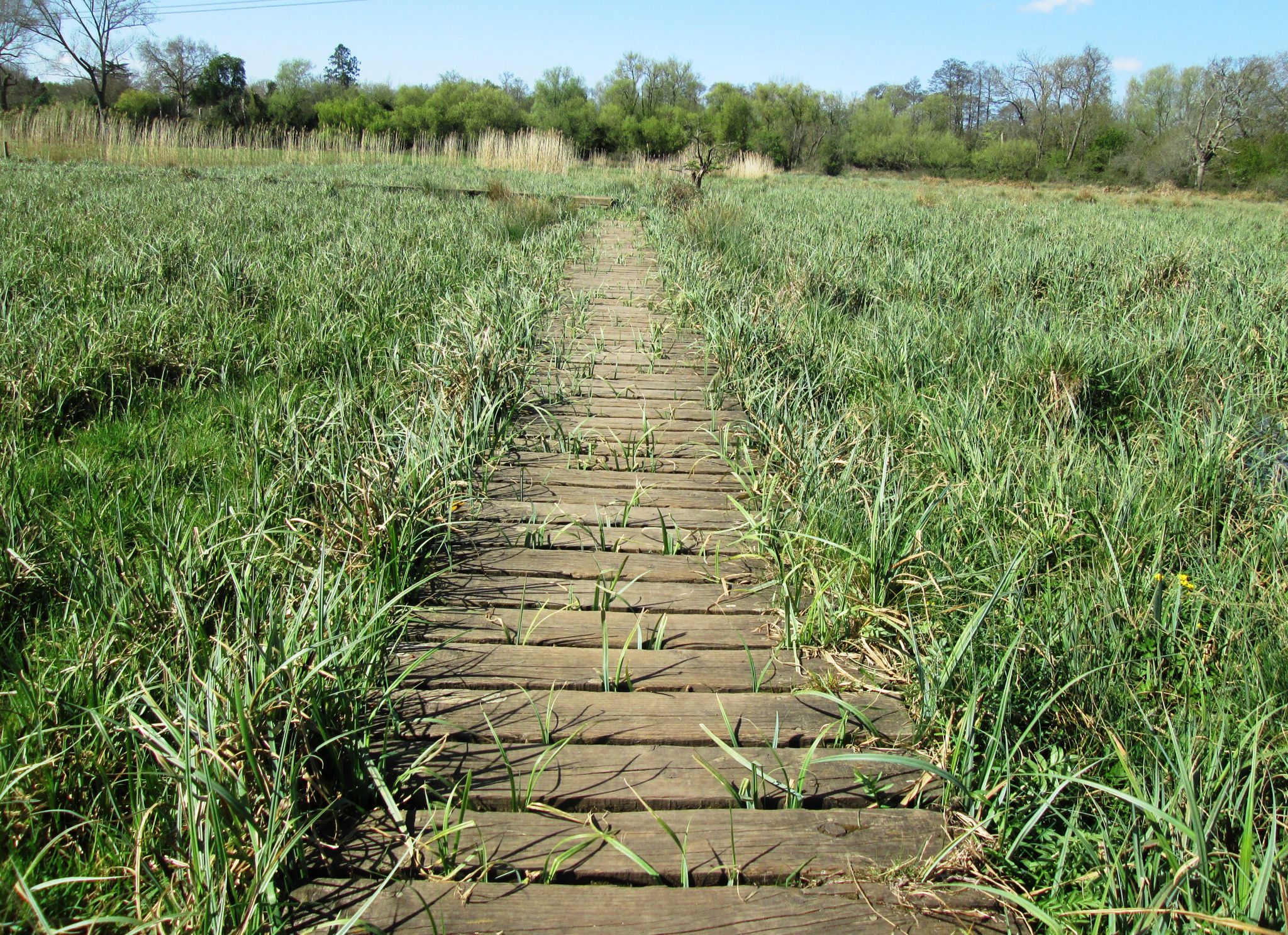 Top 12 Hikes and Walks around North Baddesley | Komoot