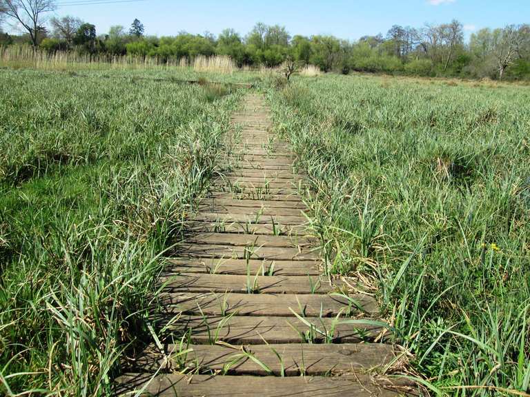 Top 10 Hikes and Walks around North Baddesley | Komoot