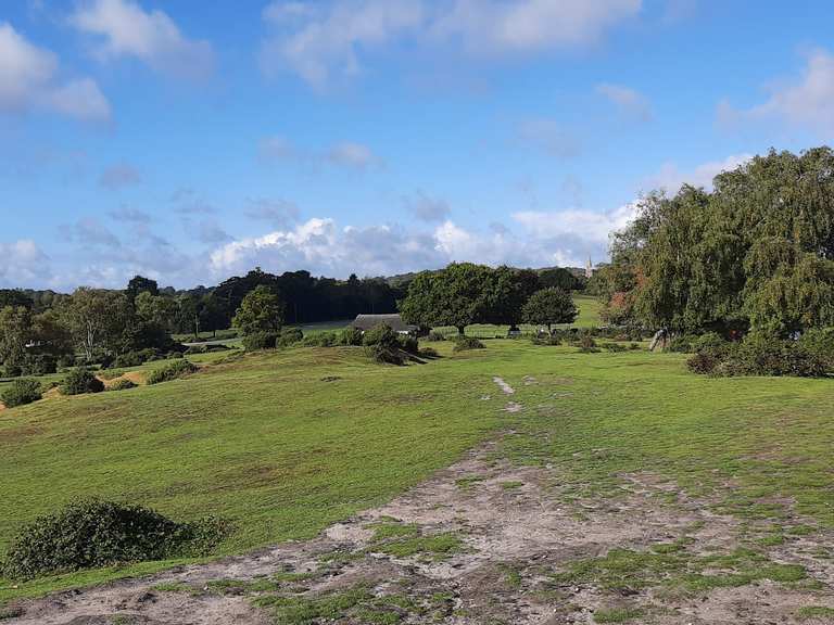 Top 10 Hikes and Walks around Netley Marsh | Komoot