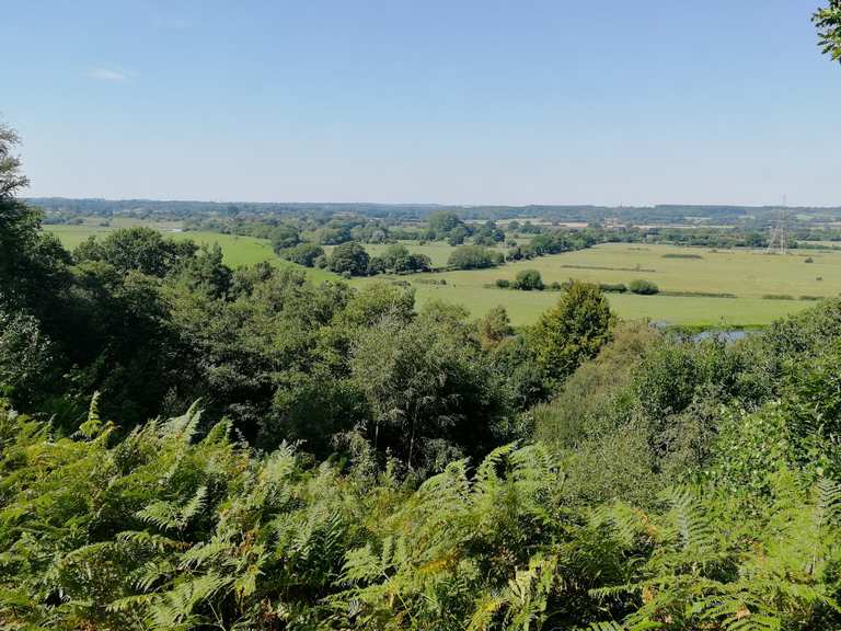 Top 10 Hikes and Walks around Fordingbridge | Komoot