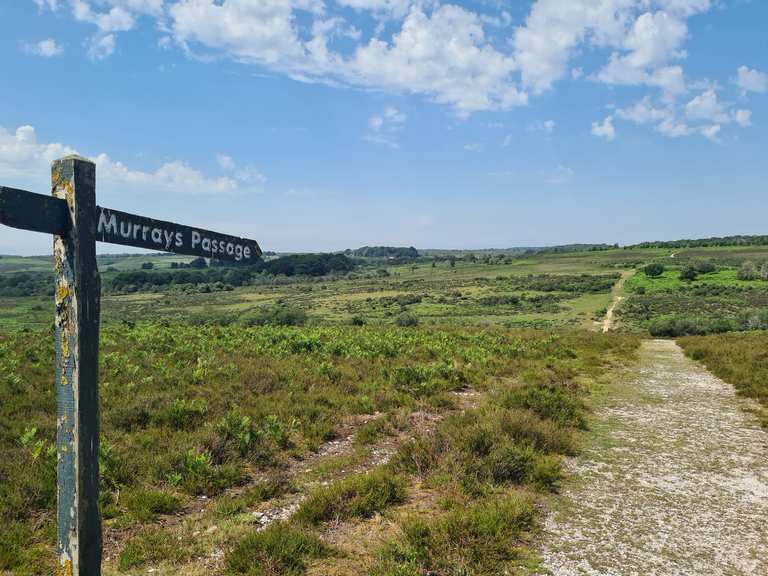 Top 10 Hikes and Walks around Minstead | Komoot