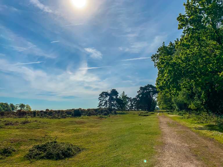 Die 10 schönsten Fahrradtouren rund um Minstead | Komoot