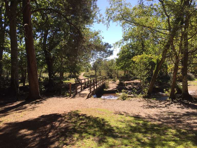 Die 5 schönsten Wanderungen rund um East Boldre | Komoot