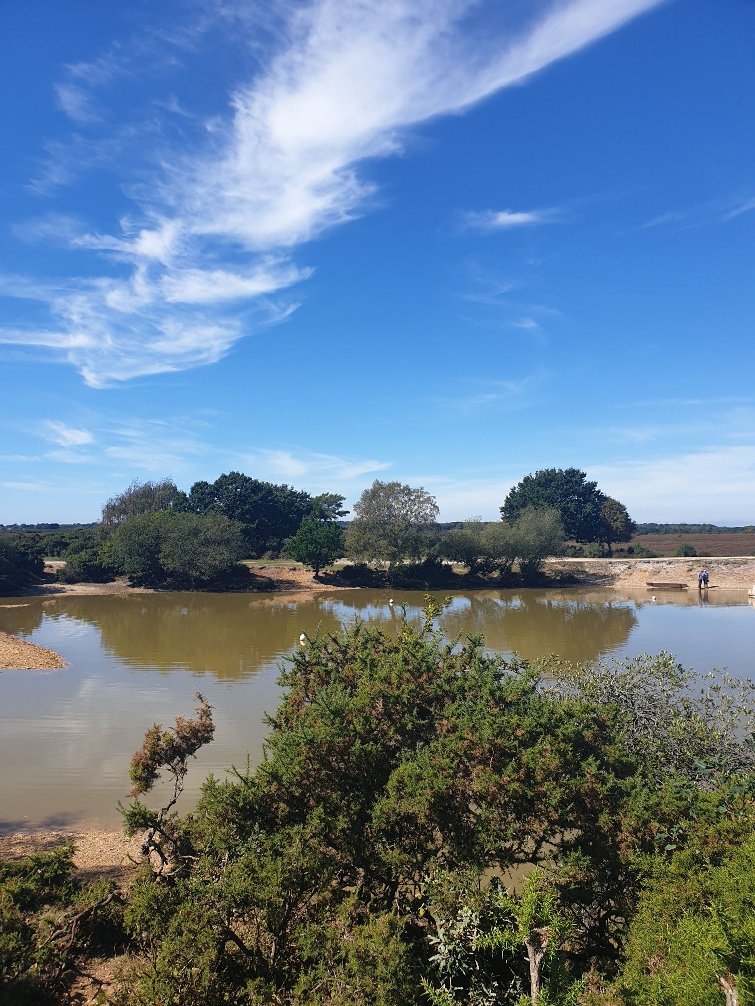 Top 12 Hikes and Walks around Sway | Komoot