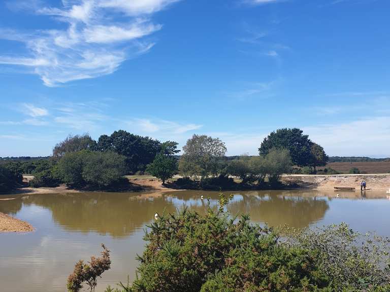 Top 10 Hikes and Walks around Sway | Komoot