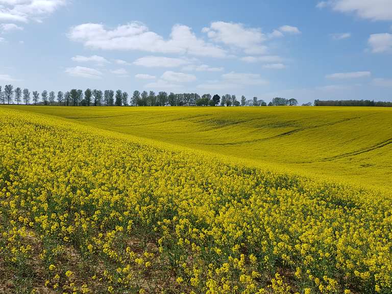 Die 5 schönsten Wanderungen rund um Horspath | Komoot