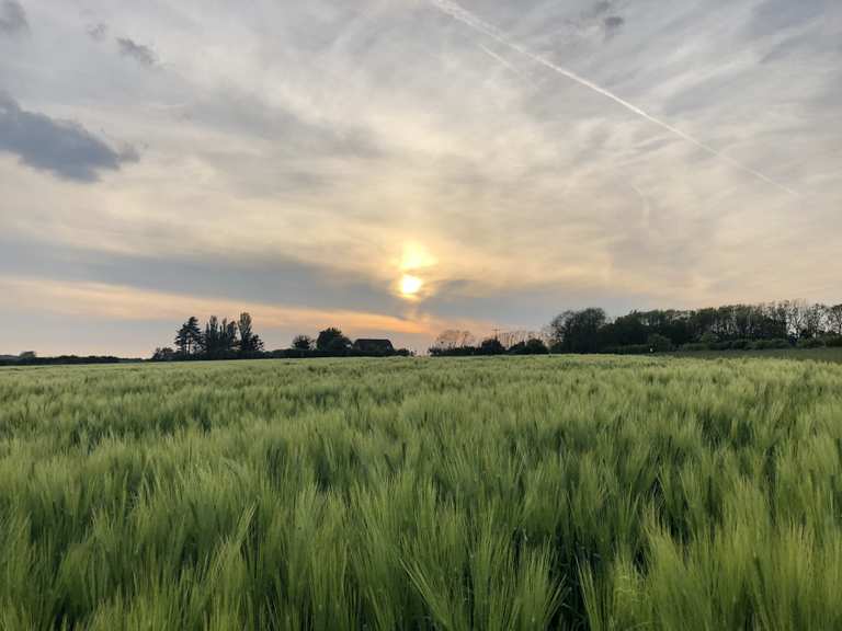 Top 10 Hikes and Walks around Silsoe | Komoot