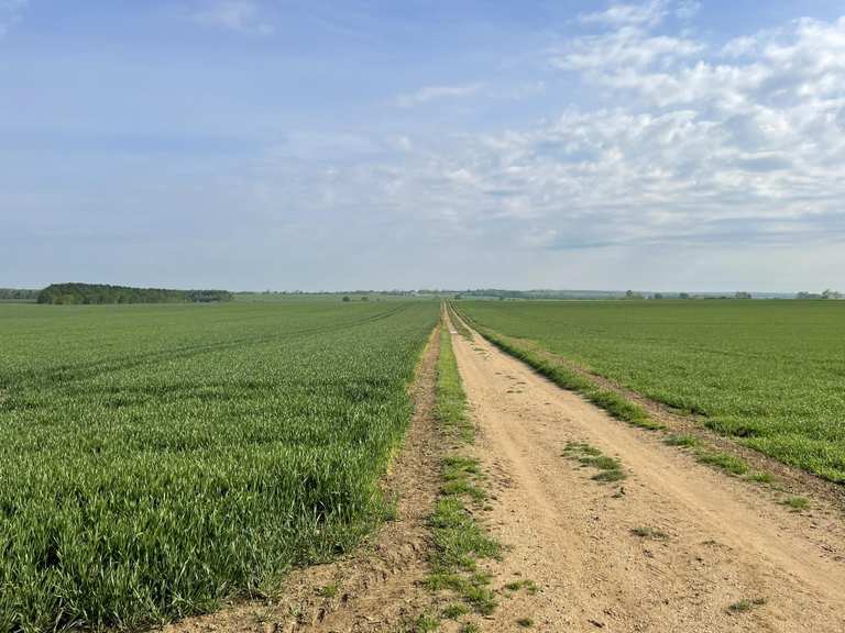 Top 10 Hikes and Walks around Tadlow | Komoot