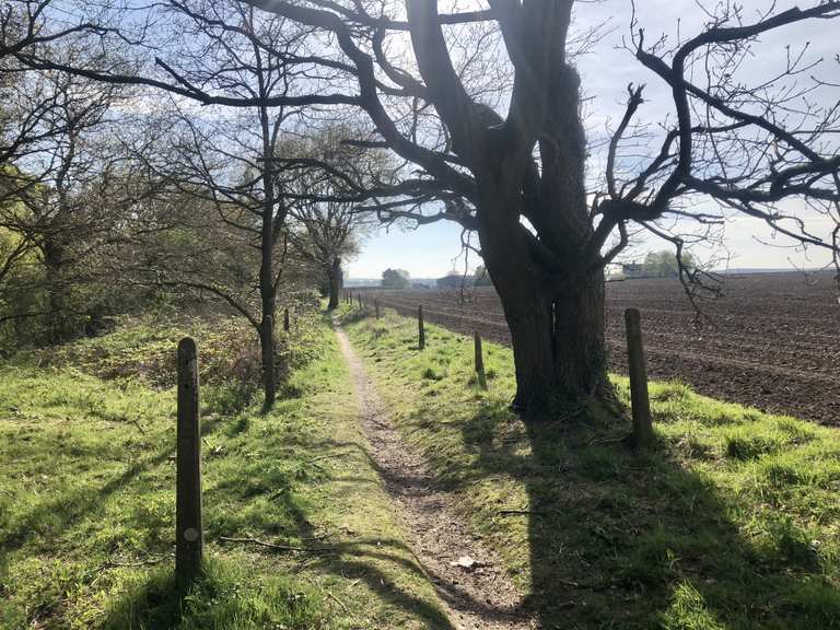 Top 20 Bike Rides and Cycling Routes around Papplewick | Komoot