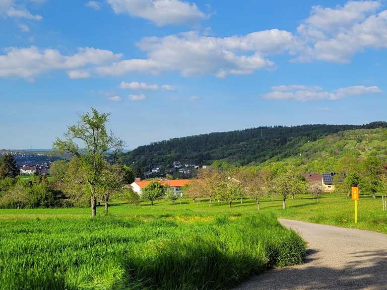 Die 10 schönsten Laufstrecken rund um Niefern-Öschelbronn 🏃 | Komoot