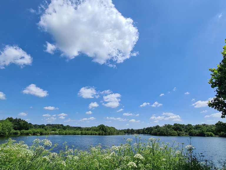 Top 10 Hikes and Walks around Yateley | Komoot