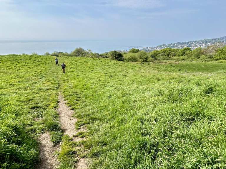 Top 10 Most Beautiful MTB Trails around Axminster | Komoot